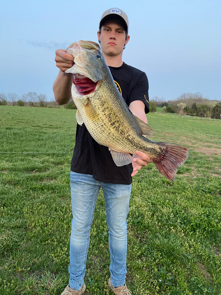 Livewell – 3 Brothers Baits